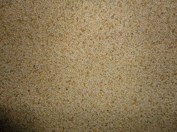 FRENCH MILLET SEED 20KG