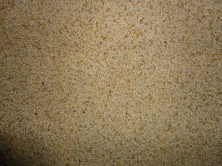 FRENCH MILLET SEED 20KG