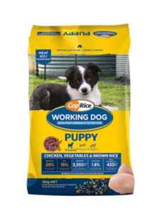 Coprice Working Dog – Puppy
