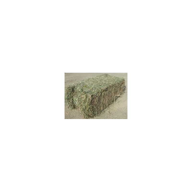 Grass Hay Round Bale | Horse & Livestock Feed