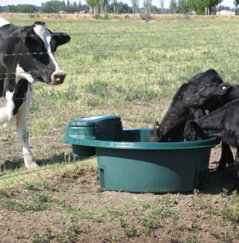 Polymaster mastertub 200l