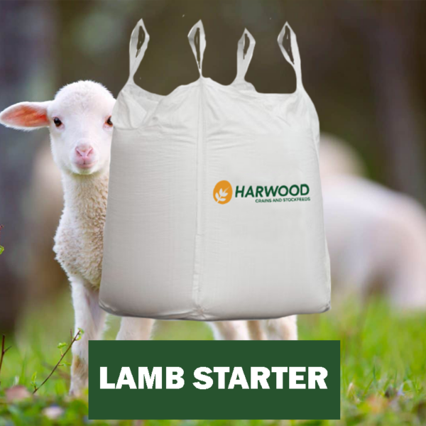 Harwood Lamb Starter 20KG