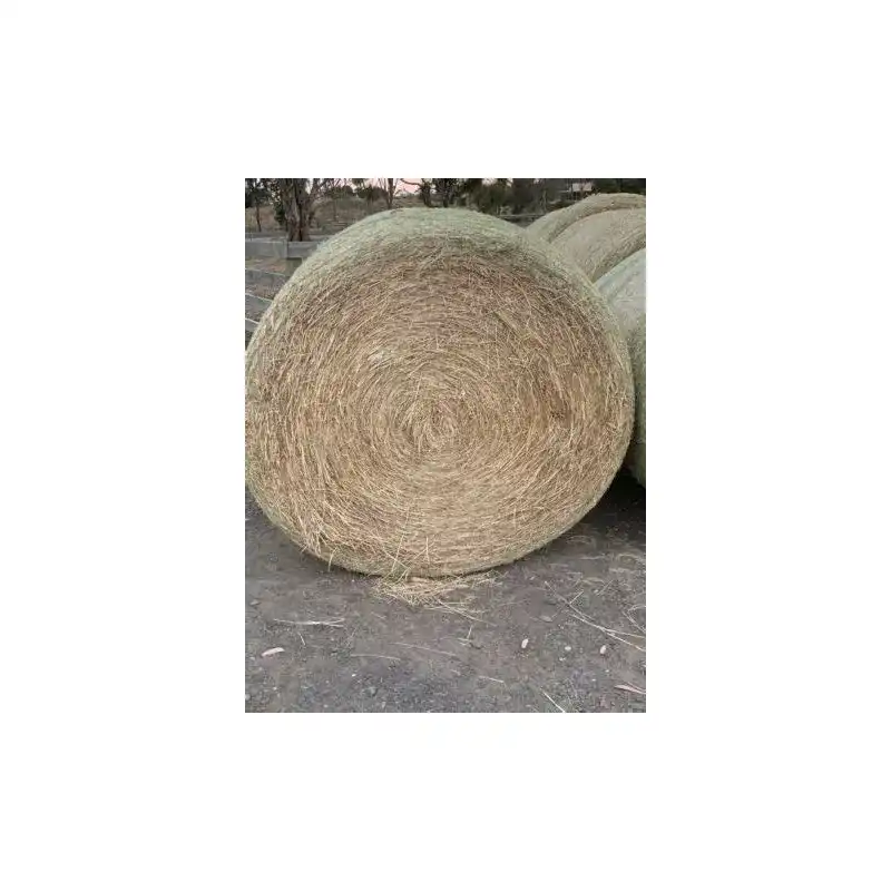 Grass Hay Round Bale | Horse & Livestock Feed